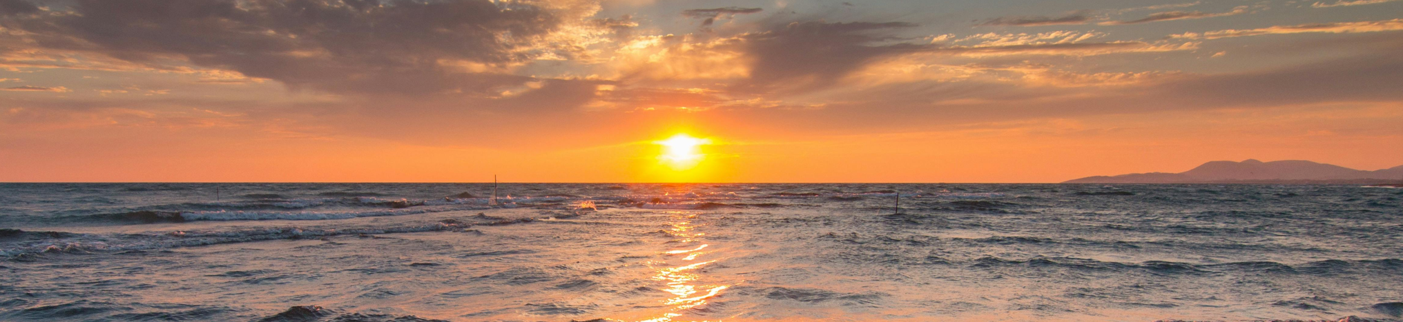 CouncilWise and ReadyTech